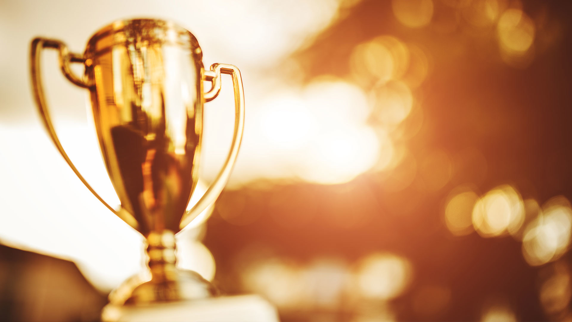 Top Picks: Reflecting on a Year of Favorites