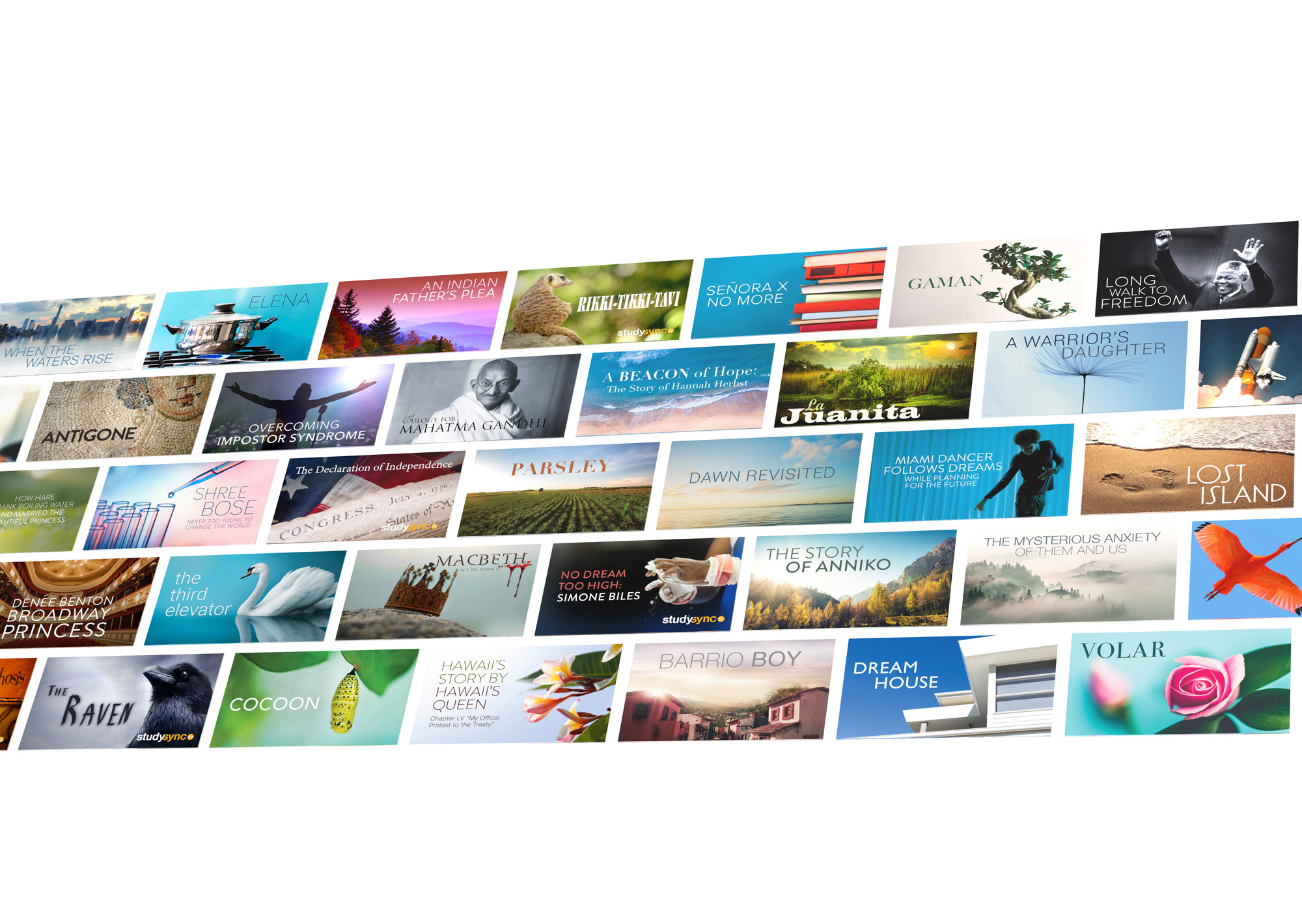 The StudySync Library: 2020 Additions